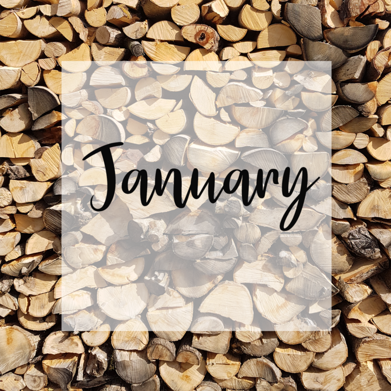 January: A look back at the year behind